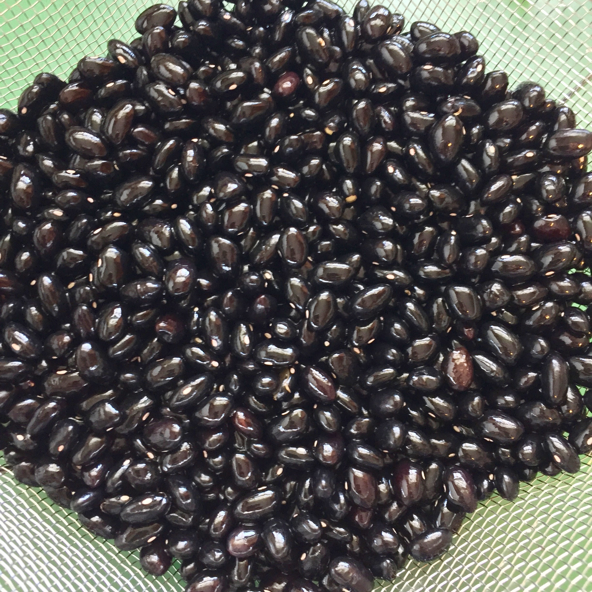 Cooking Dried Black Beans – julienne.red