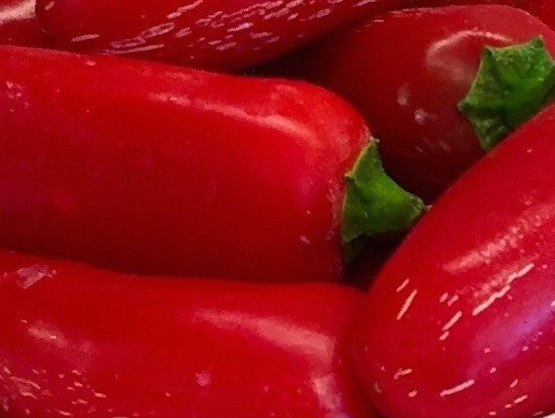 Off-the-Hook Homemade Jalapeño Hot Sauce – julienne.red