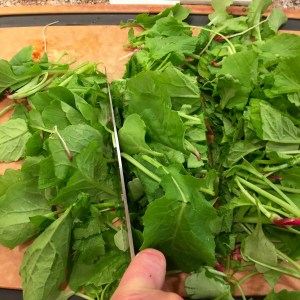 Sautéed Baby Radish Greens With Onions & Basil – julienne.red